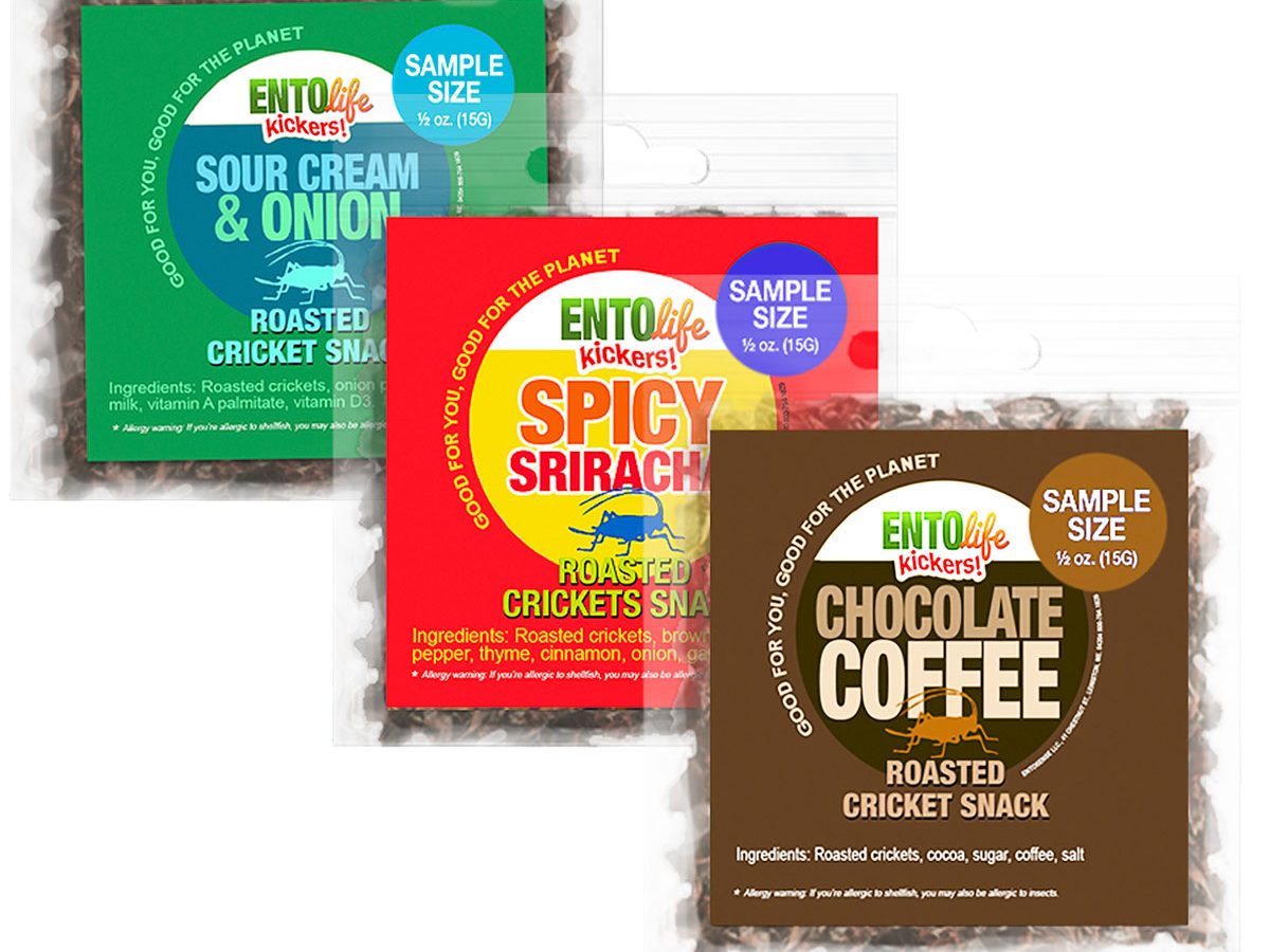 Scorpion Pops | Real Scorpions Encased in a Candy Sucker - Edible Insects