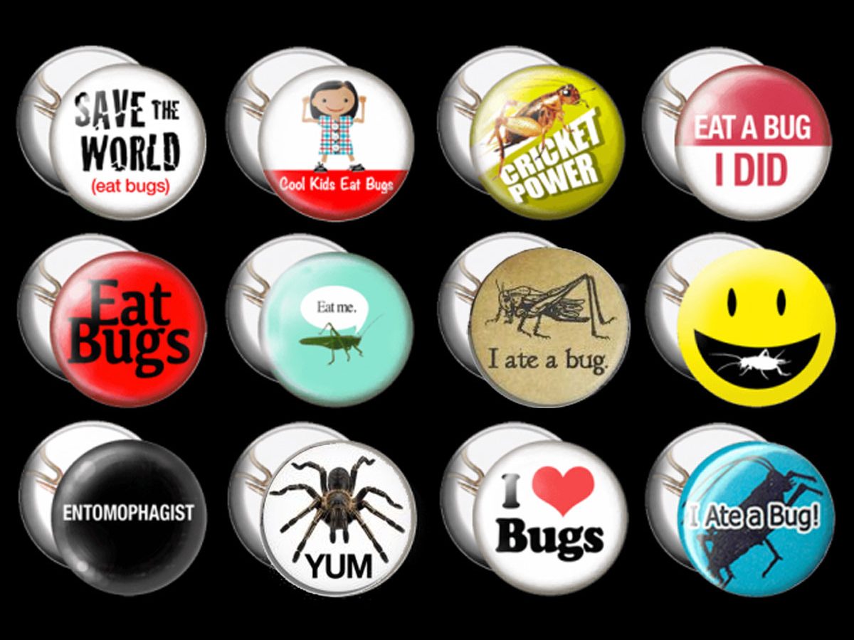One Inch Round Buttons | Edible Insects | EntoMarket at EdibleInsects.com