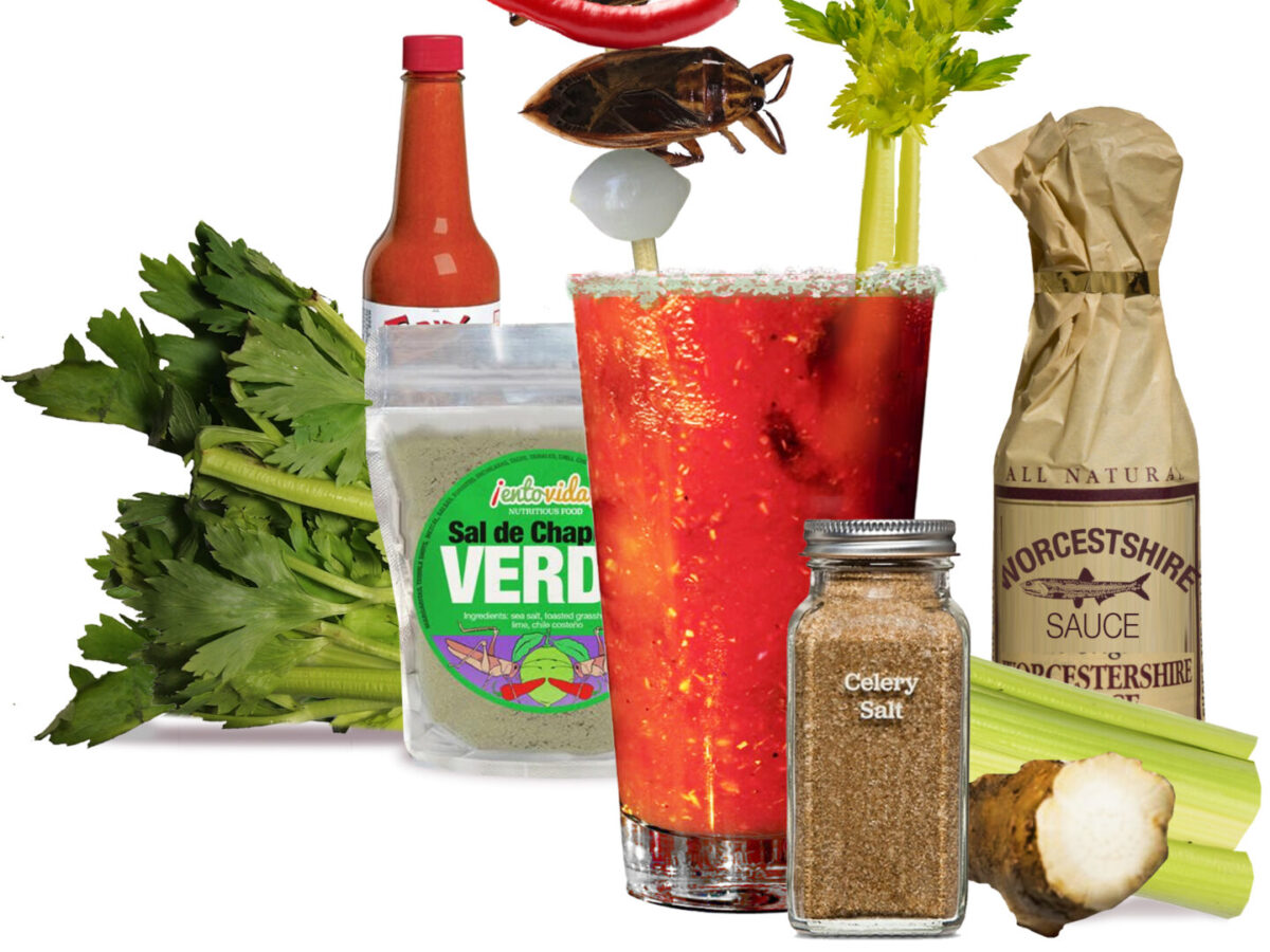 Edible Insects For Humans | Bugs You Can Eat For Sale Online