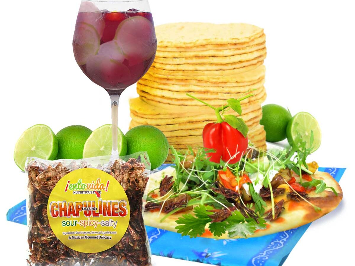 Edible Bugs as Snacks | EntoMarket - The Edible Bug Marketplace