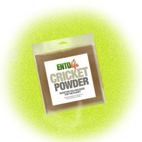 Cricket Powder | Cricket Flour | Cricket Protein Powder | EdibleInsects.com