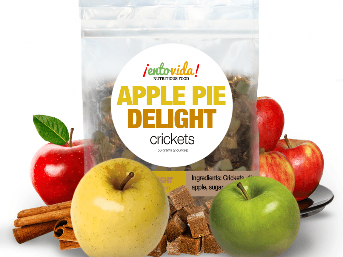 WHOLE ROASTED CRICKETS | ENTOMARKET | EDIBLE INSECTS