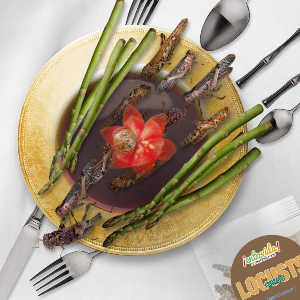 Edible Insect Nutrition Information