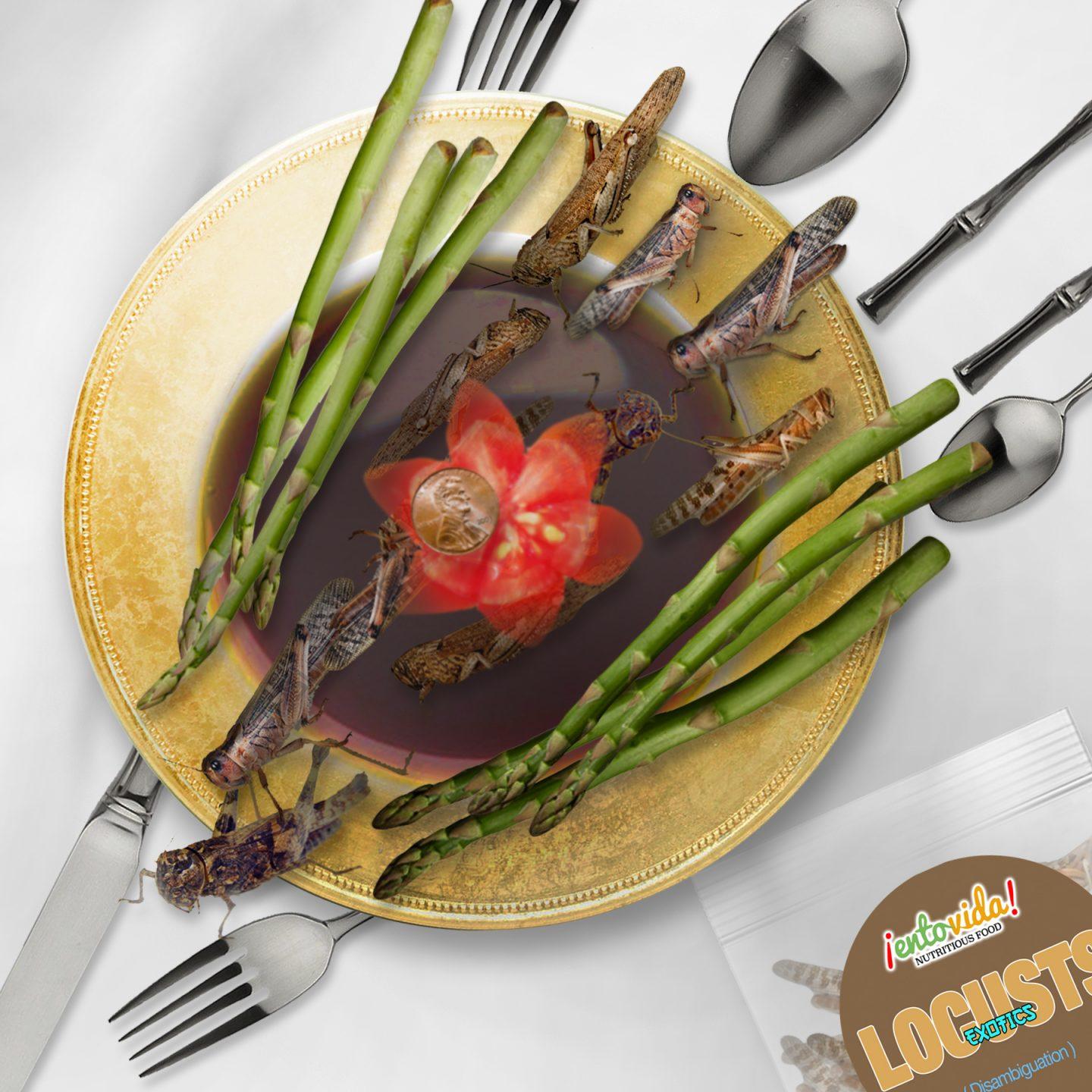 Edible Insects | EntoMarket | Bugs You Can Eat For Sale Online