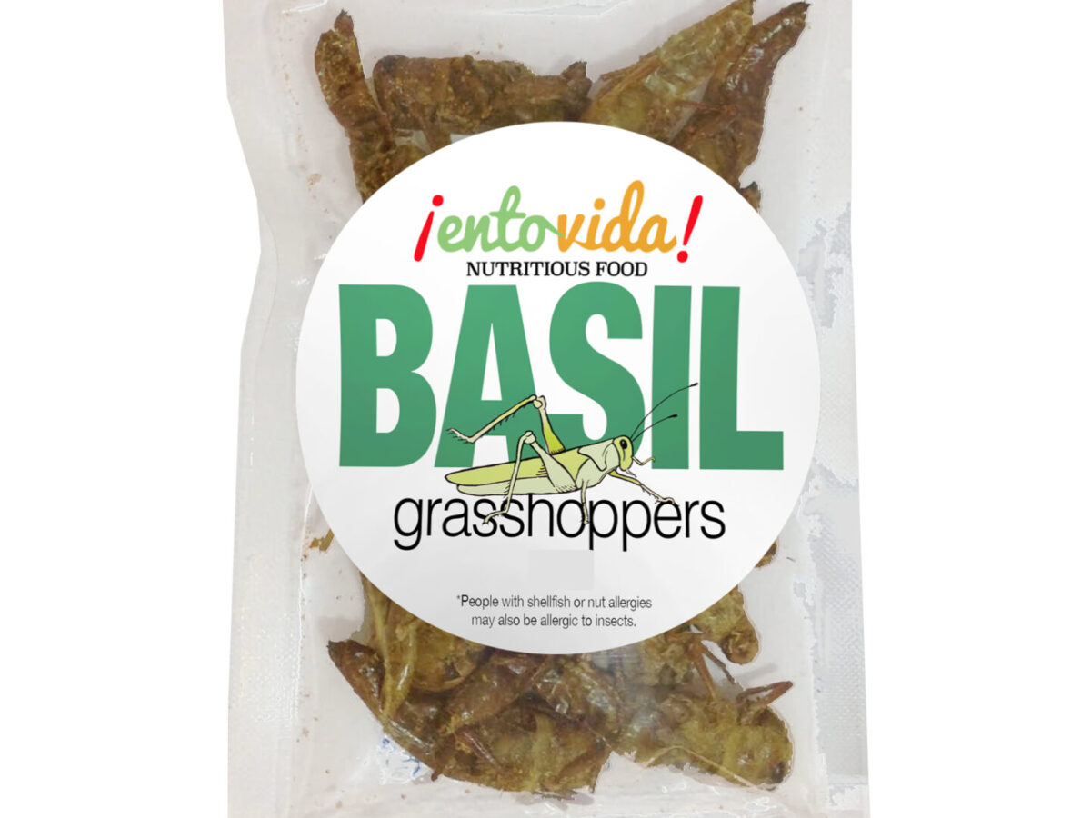 Edible Grasshoppers & Locusts Category - Edible Insects