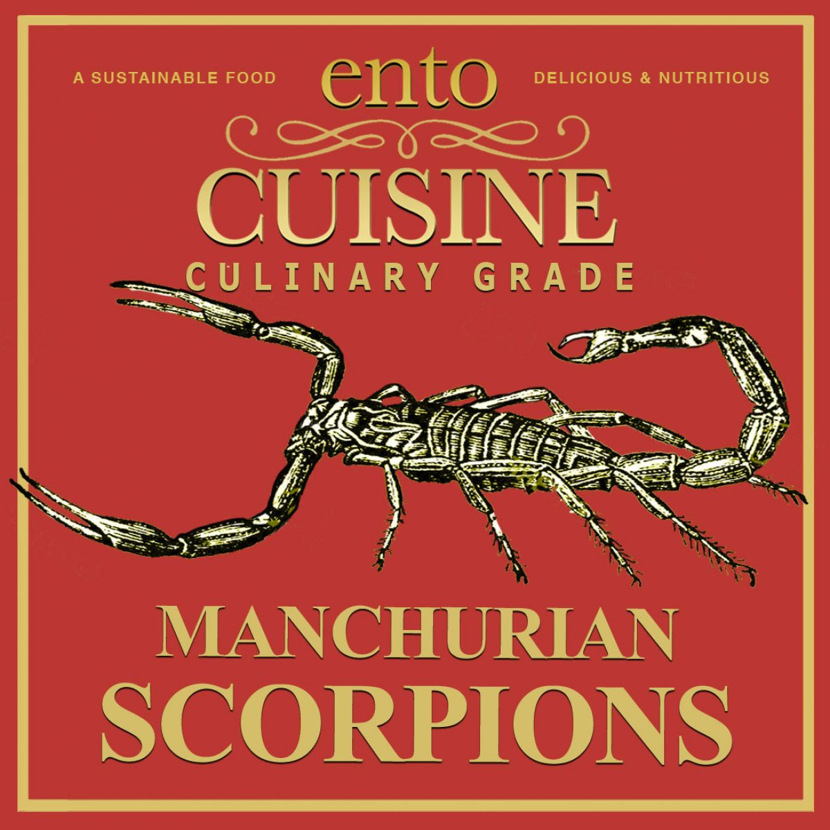 Edible Scorpions Category - Edible Insects