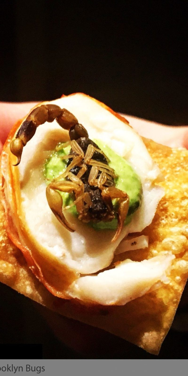 Edible Scorpions Category - Edible Insects