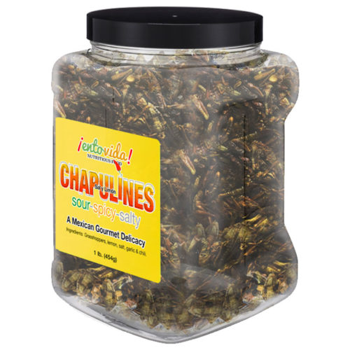 Bulk & Wholesale Edible Insects | EntoMarket | Edible Insects