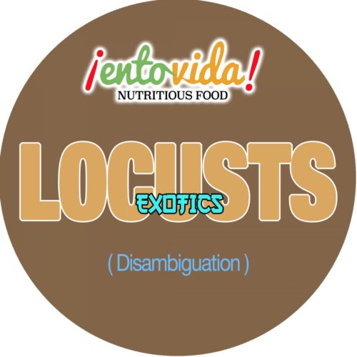 Edible Locusts Category - Edible Insects