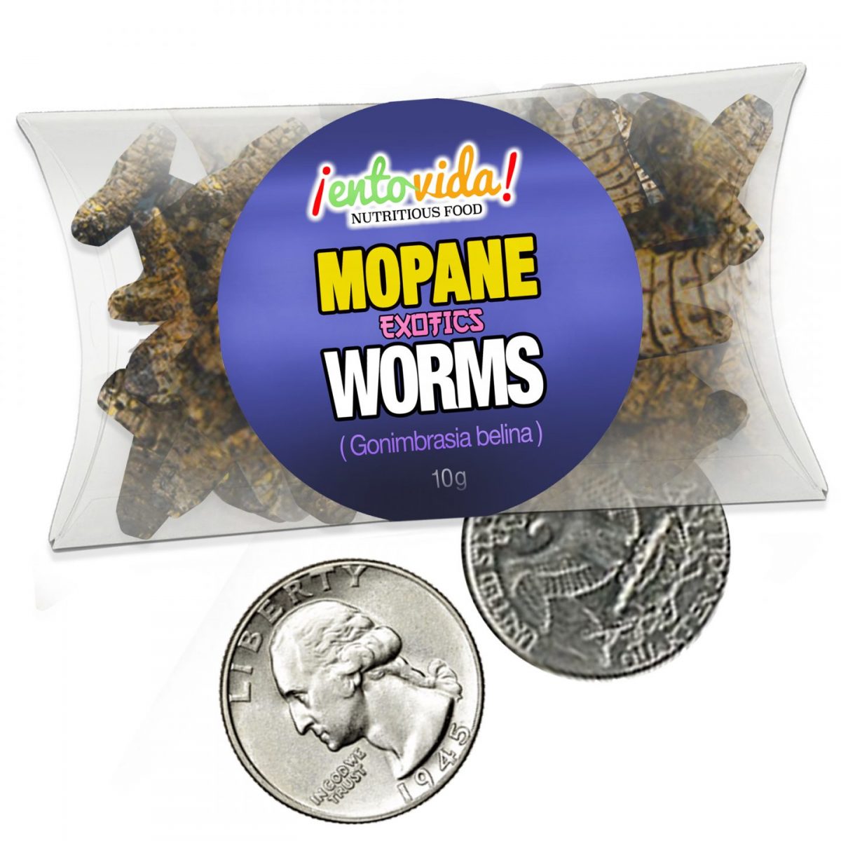 Edible Worms Category - Edible Insects
