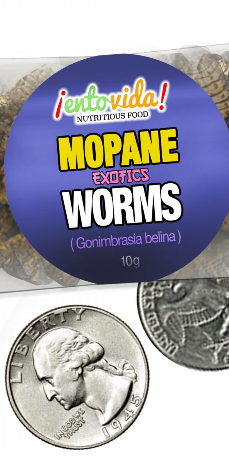 Edible Worms Category - Edible Insects