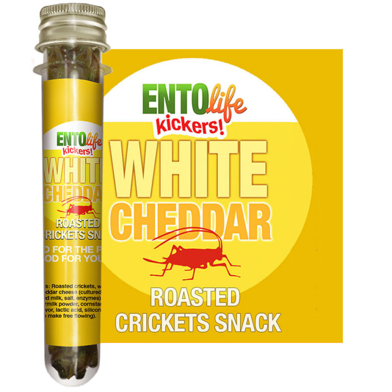 Mini-Kickers Flavored Cricket Snacks - Edible Insects