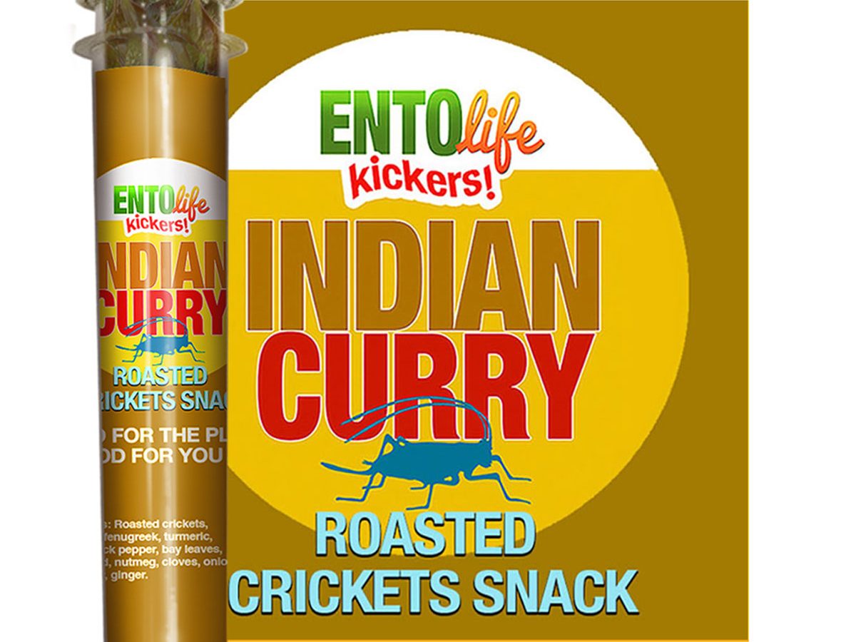 Mini-Kickers Flavored Crickets - Edible Insects