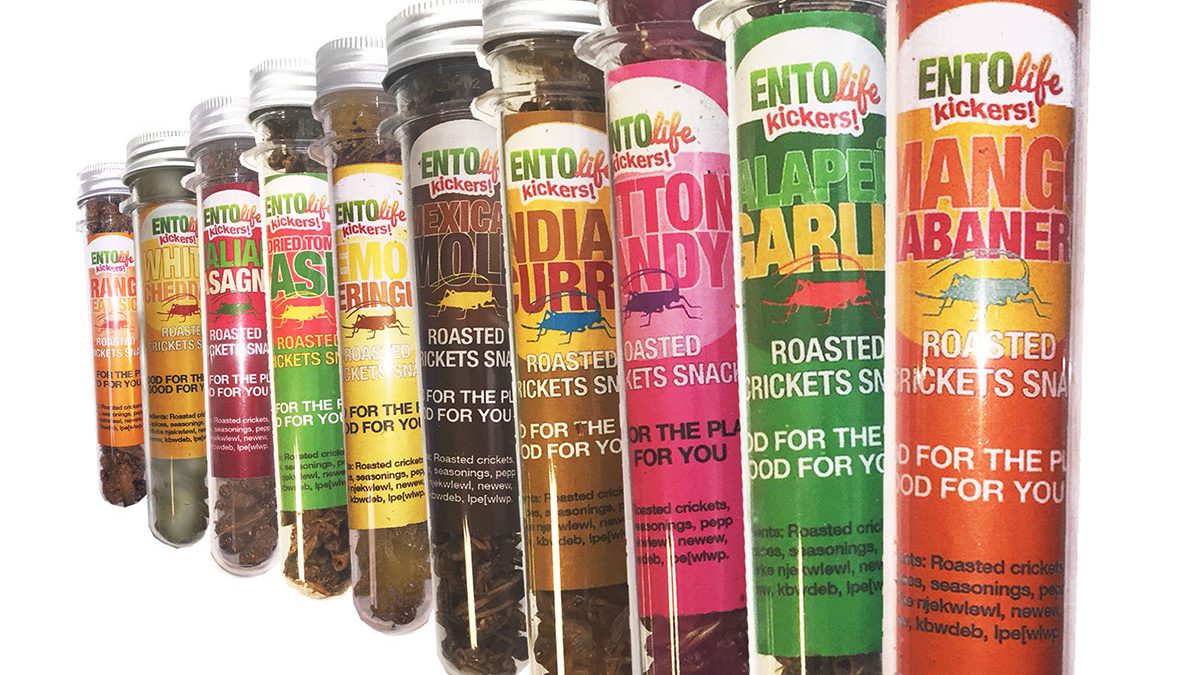 Mini-Kickers Flavored Crickets - Edible Insects