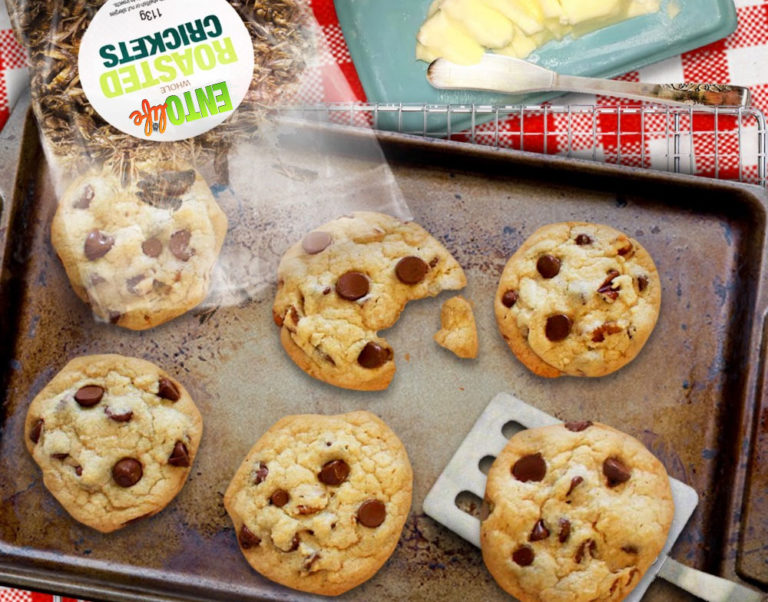 Scorpion Pops | Real Scorpions Encased in a Candy Sucker - Edible Insects