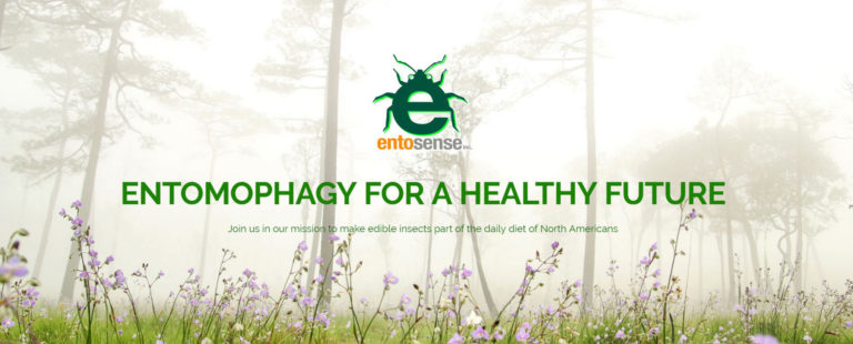 Sriracha Crickets | EntoMarket | The Edible Insect Marketplace