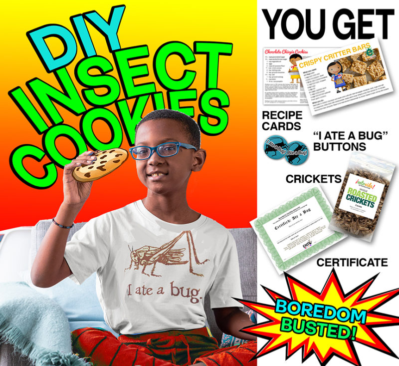 Activities For Kids - Edible Insects