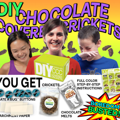 Boredom Busters Category - Edible Insects