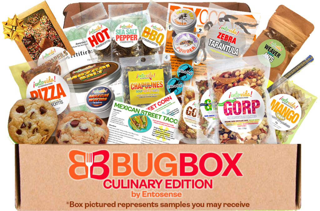 Bug Box Subscriptions - Edible Insects