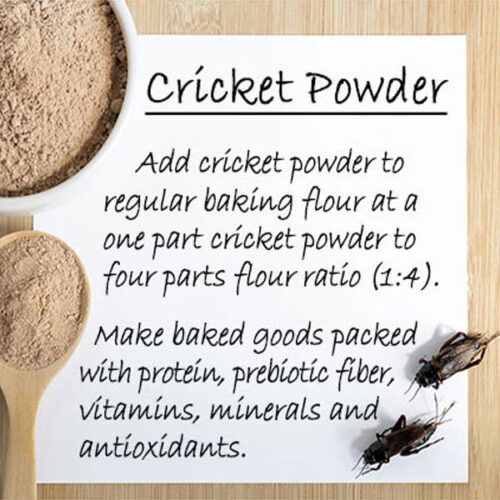 Cricket Powder | Cricket Flour | Cricket Protein Powder | EdibleInsects.com