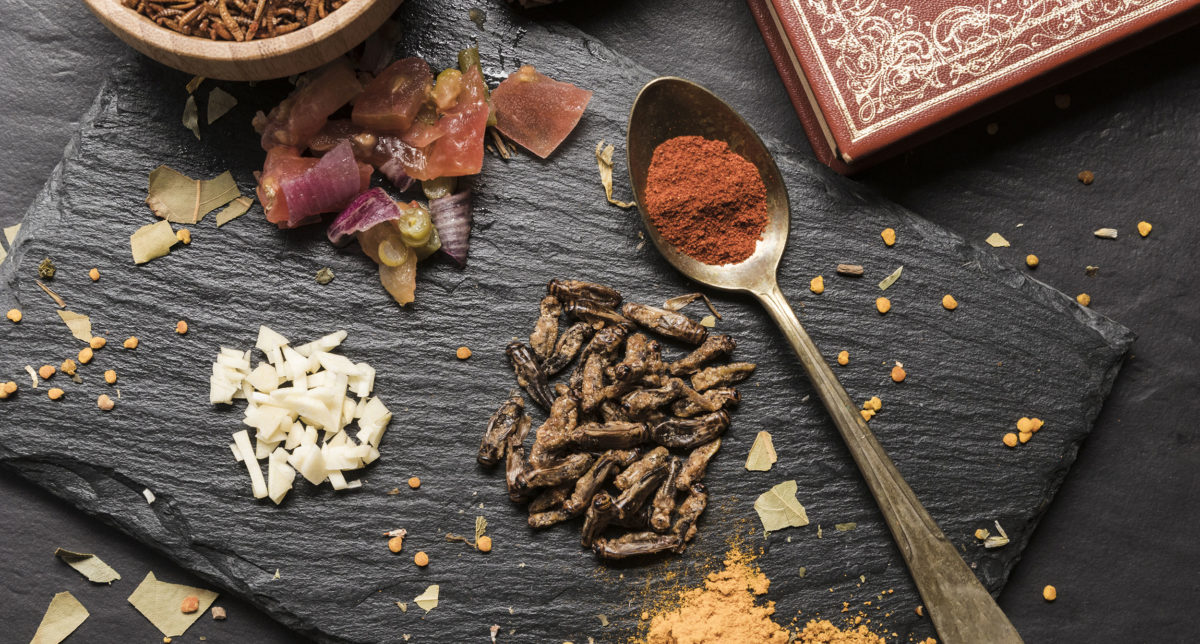 Entomophagy Education - Edible Insects