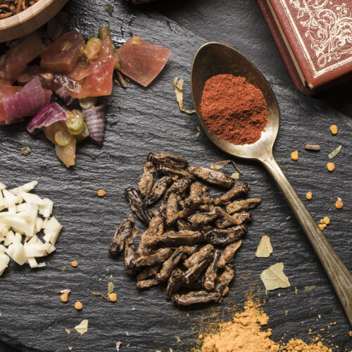 Entomophagy Education - Edible Insects