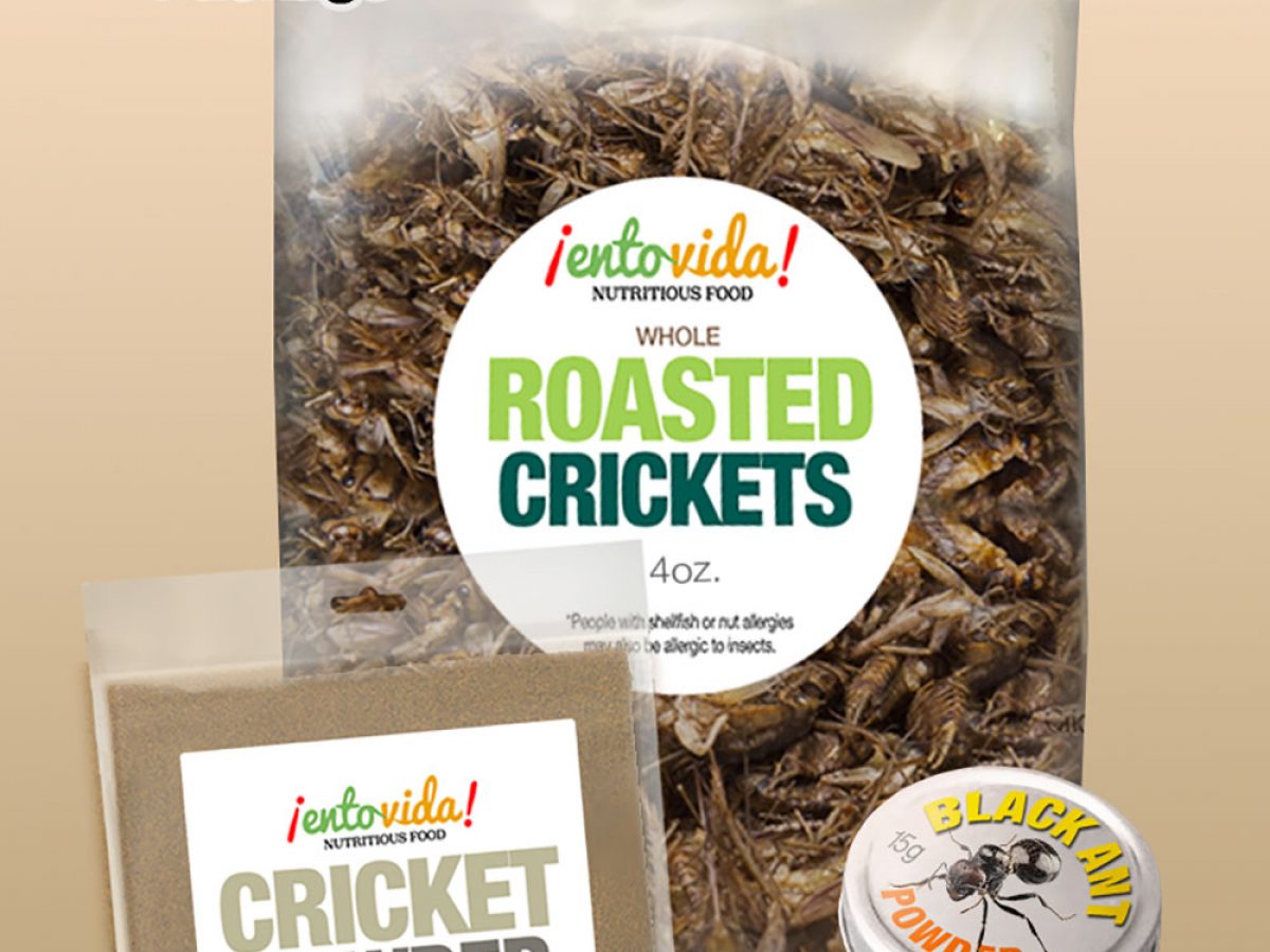 Brooklyn Bugs Category - Edible Insects