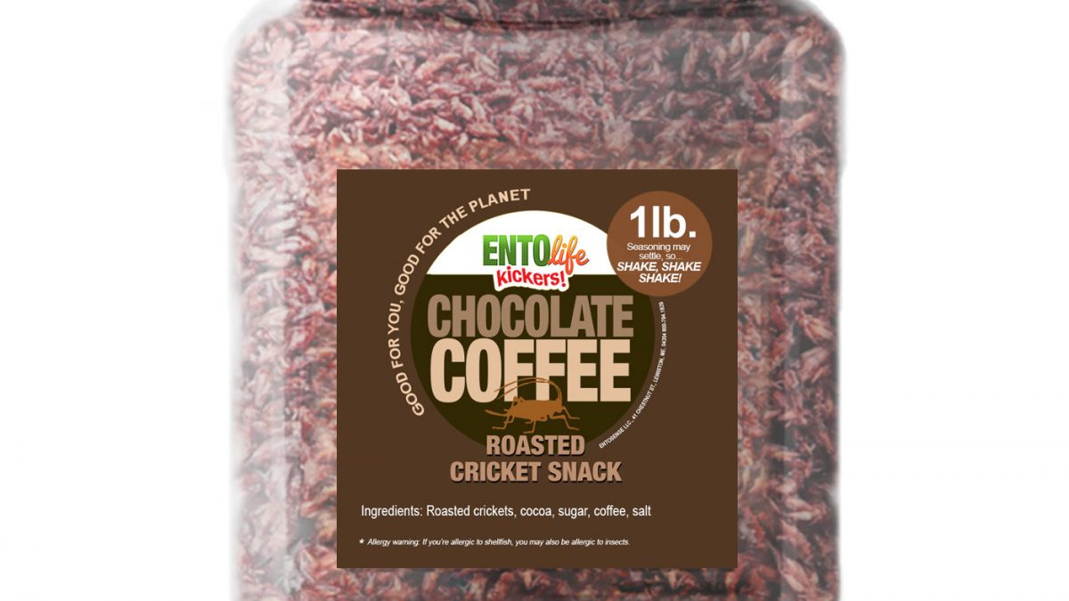 Chocolate Coffee Crickets | EntoMarket | Edible Insects