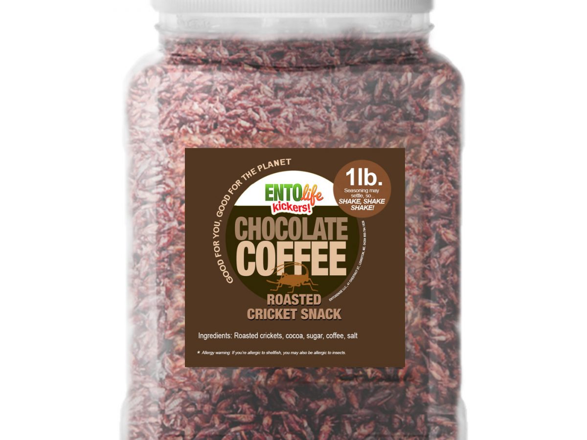 Bulk Edible Insects - Edible Insects