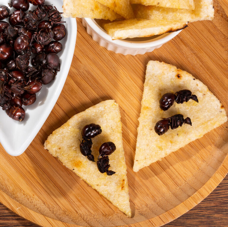 CHICATANAS - Edible Insects