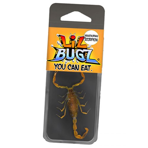 Lil Bugz You Can Eat! edible bugs - Edible Insects