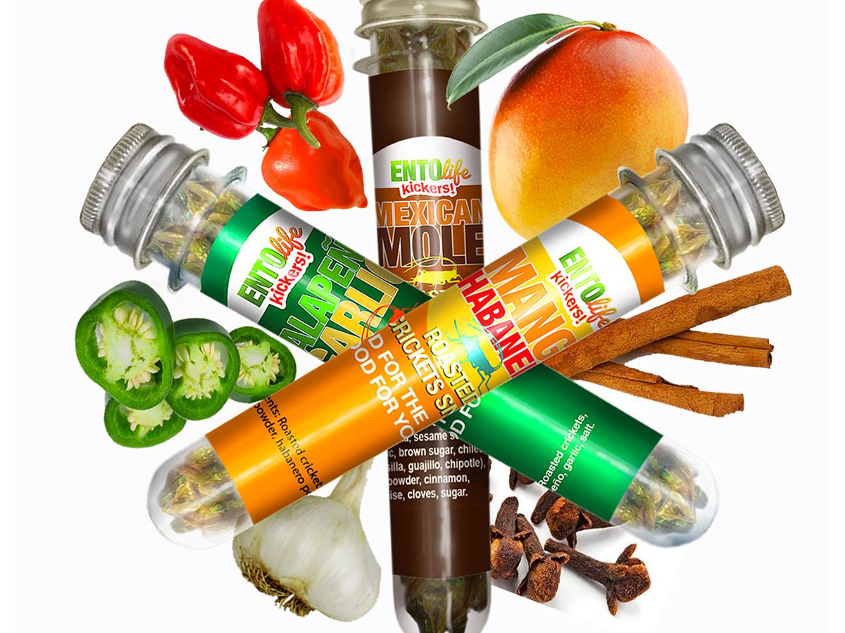 Roasted Cricket Sample Packs | EntoMarket | Edible Insects