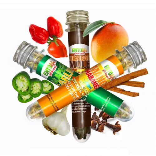 Mini-Kickers Set: Spicy Roasted Cricket Snacks - Edible Insects