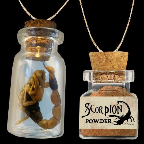 Scorpion in a Bottle - Edible Insects