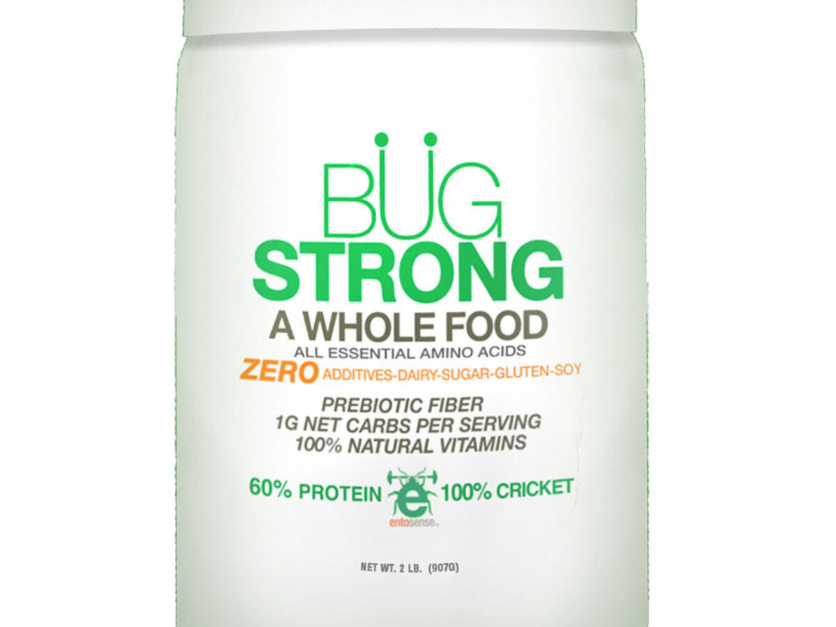 Edible Insects For Humans | Bugs You Can Eat For Sale Online