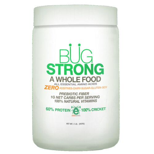 BUG STRONG PREBIOTIC PROTEIN POWDER - Edible Insects