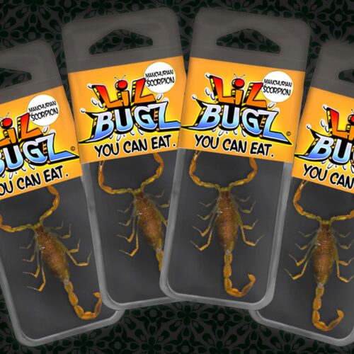 Lil Bugz You Can Eat! edible bugs - Edible Insects