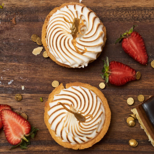 Edible Scorpion 4-Pack - Edible Insects