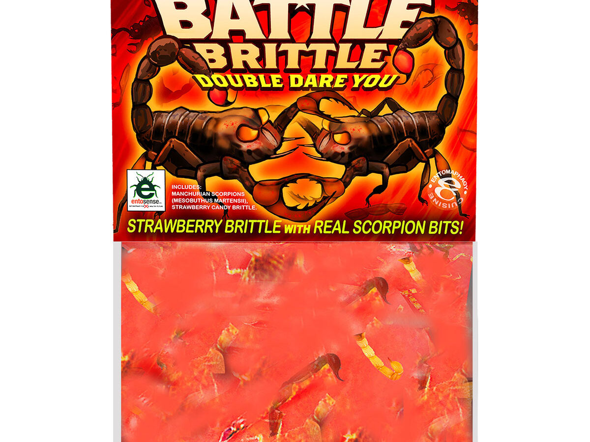 Bug Candy Brings Smiles & Memories | EntoMarkate at EdibleInsects.com