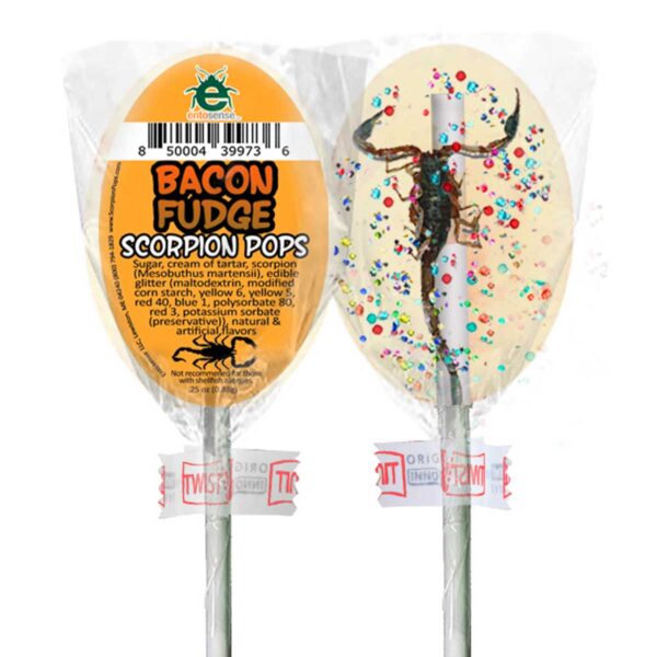 Scorpion Pops | Real Scorpions Encased in a Candy Sucker - Edible Insects