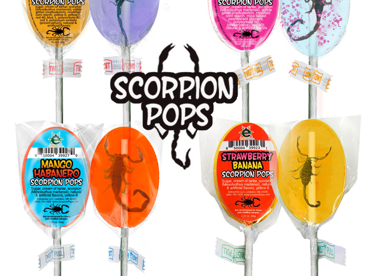 Products Collection - Edible Insects