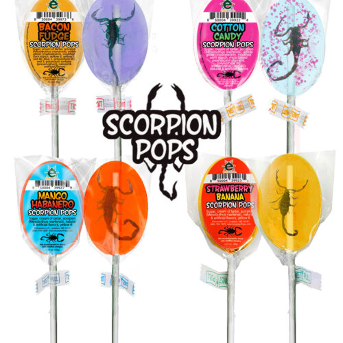 Scorpion Pops | Real Scorpions Encased in a Candy Sucker - Edible Insects