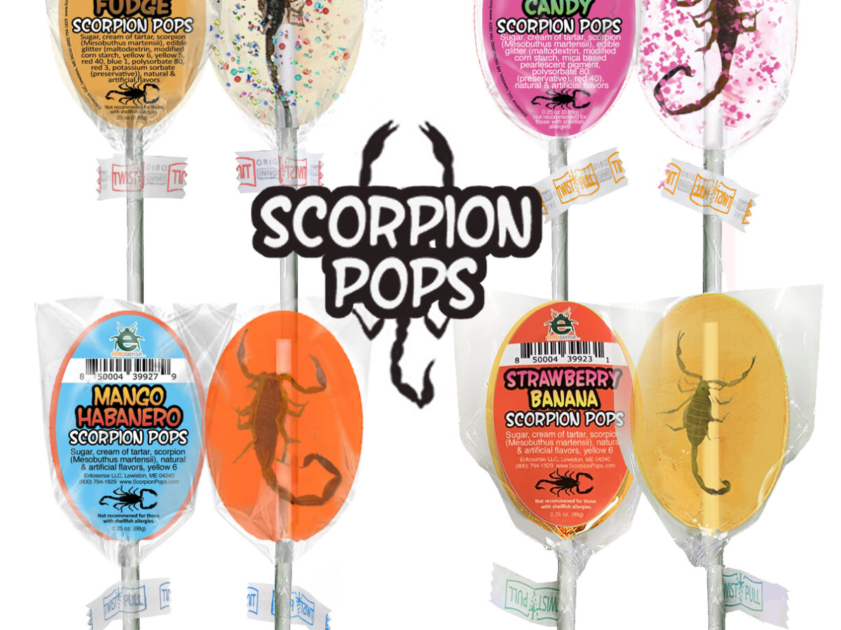 Bug Candy Brings Smiles & Memories | EntoMarkate at EdibleInsects.com