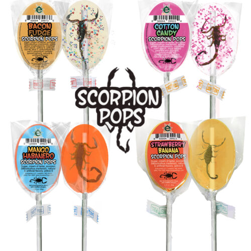 Scorpion Pops | Real Scorpions Encased in a Candy Sucker - Edible Insects