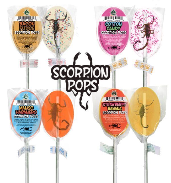 Scorpion Pops | Real Scorpions Encased in a Candy Sucker - Edible Insects