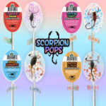 Scorpion Pops | Real Scorpions Encased in a Candy Sucker - Edible Insects