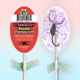 Scorpion Pops | Real Scorpions Encased in a Candy Sucker - Edible Insects