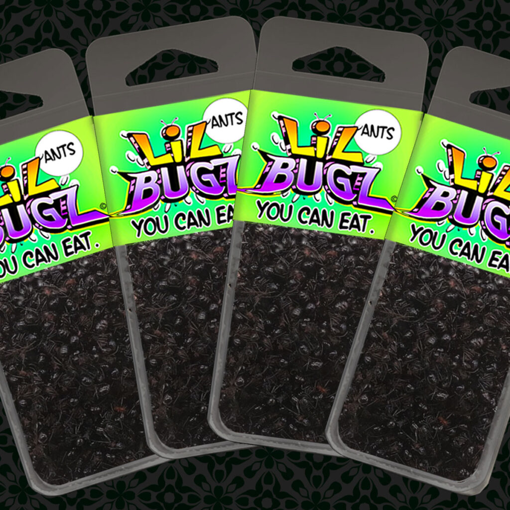 Lil Bugz You Can Eat! edible bugs - Edible Insects