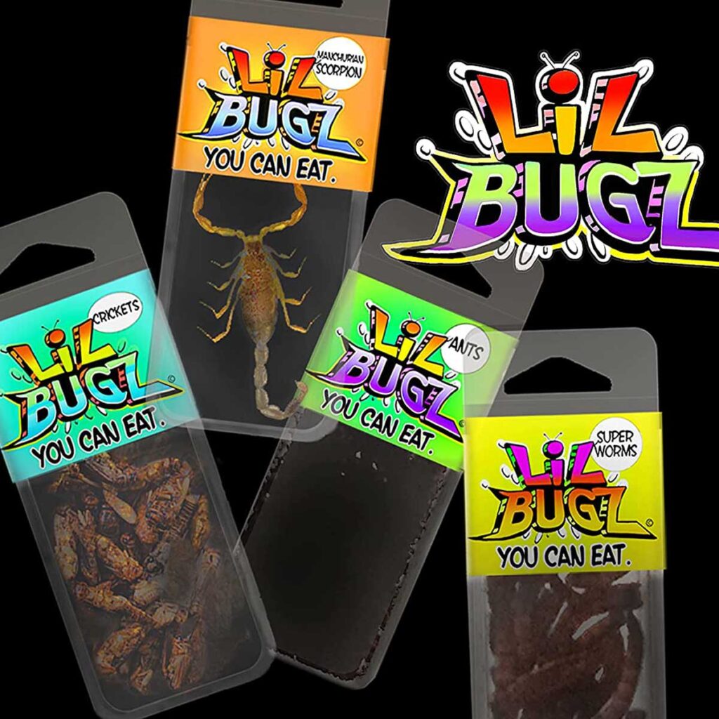 Lil Bugs You Can Eat - 4 Pack of Edible Insects - Edible Insects